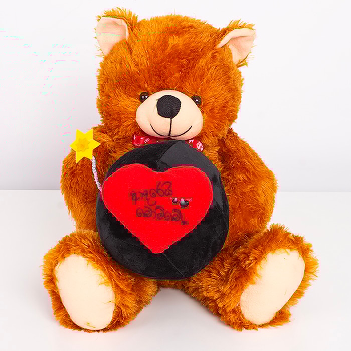 Tashmi and kaveesha | ADAREI BOMBE TEDDY 19 inches Price in Sri Lanka ...