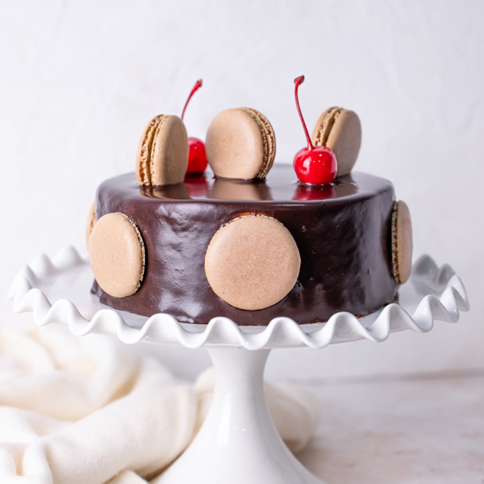 Send BreadTalk Boston Chocolate Cake Price in Sri Lanka | Bread Talk Cake