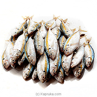Kapruka: Sura Paraw Fish - 1KG Price in Sri Lanka | Ocean`s Harvest